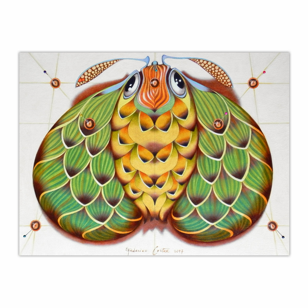 The hop moth – USEUM Store